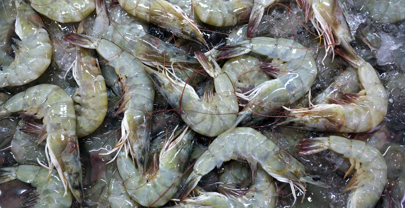 Shrimp 101: Understanding Shrimp Processing Terms (PD, PUD, HLSO, HOSO ...