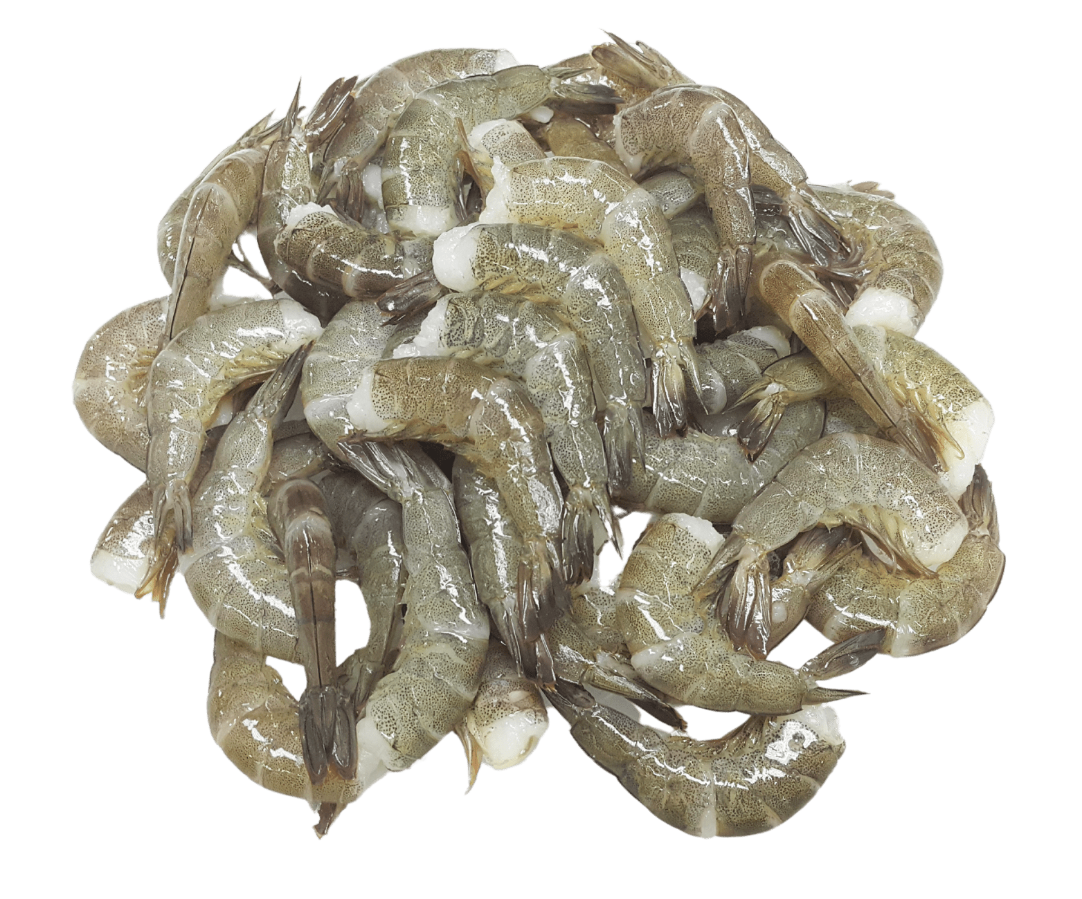 Home - Kalimantan Fishery